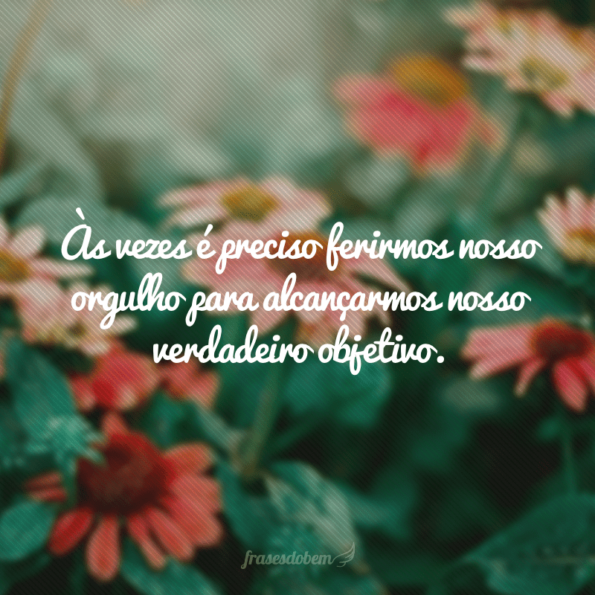 50 frases de orgulho que vão te fazer pensar sobre suas escolhas
