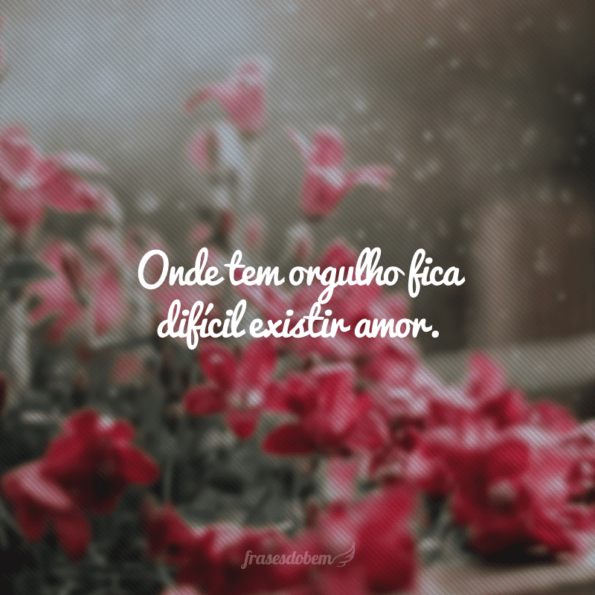 50 frases de orgulho que vão te fazer pensar sobre suas escolhas