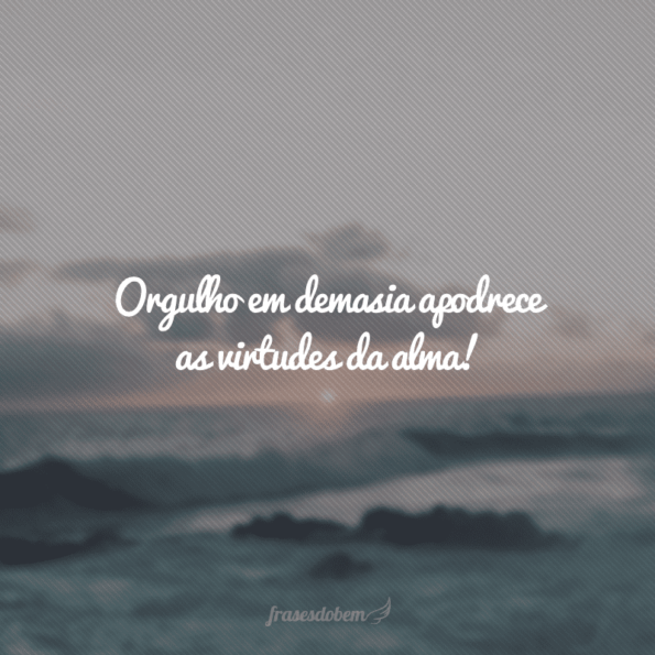 50 frases de orgulho que vão te fazer pensar sobre suas escolhas