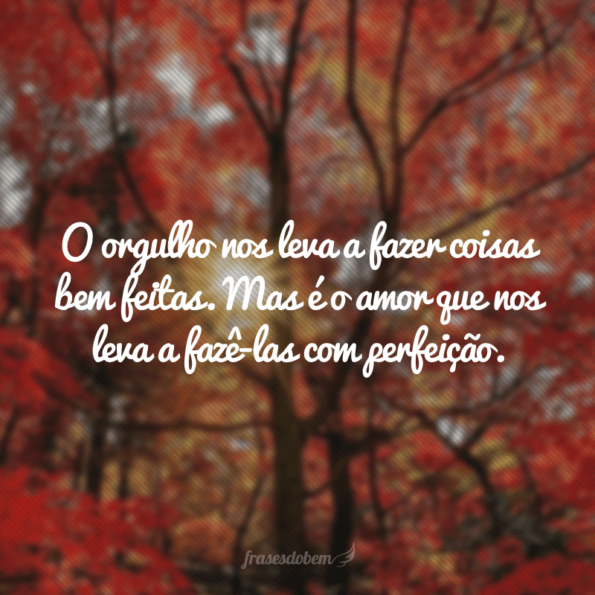 50 frases de orgulho que vão te fazer pensar sobre suas escolhas