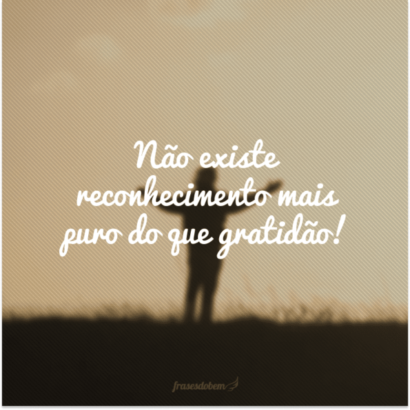 60 Frases De Reconhecimento Para Te Fazer Refletir E Te Motivar A Ser Grato
