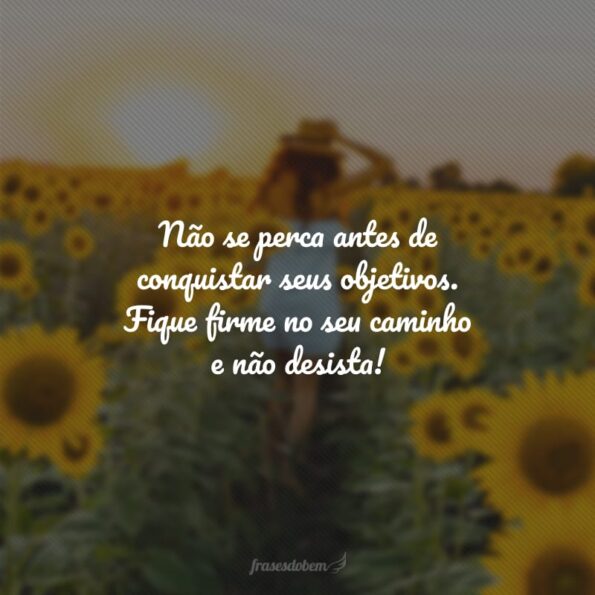 50 frases de conquista pessoal para continuar lutando pelos seus objetivos