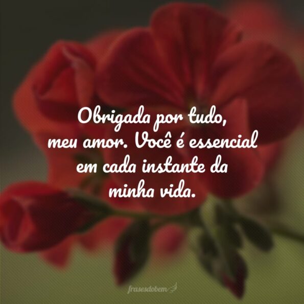 40 Frases De Agradecimento Ao Marido Que Mostram Que Ele é O Melhor