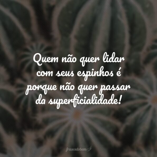 30 frases de cactos que mostram o valor dos espinhos