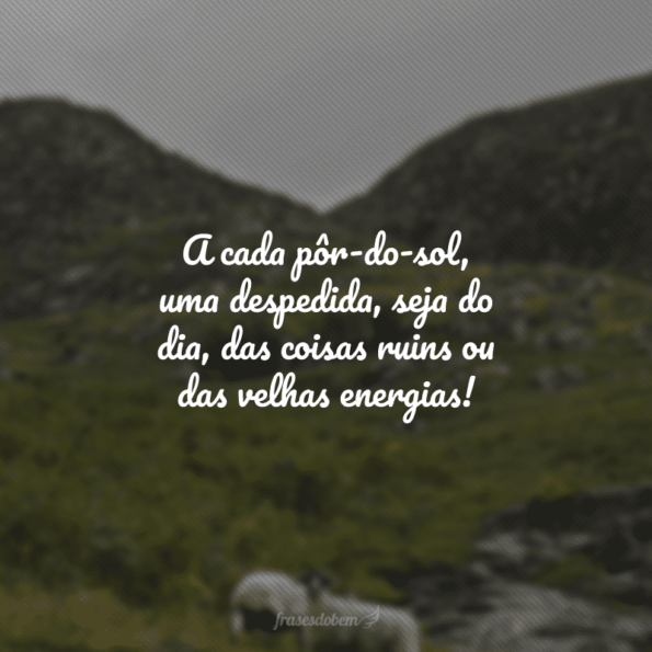 60 frases de natureza Tumblr para se encher da sua energia
