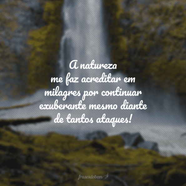 60 frases de natureza Tumblr para se encher da sua energia