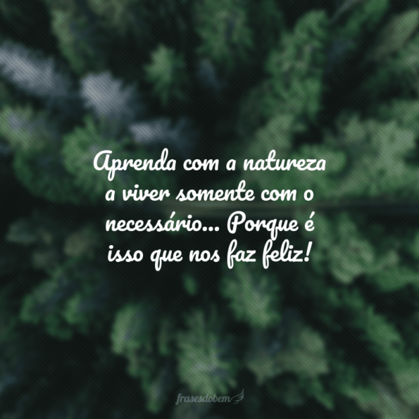 60 frases de natureza Tumblr para se encher da sua energia