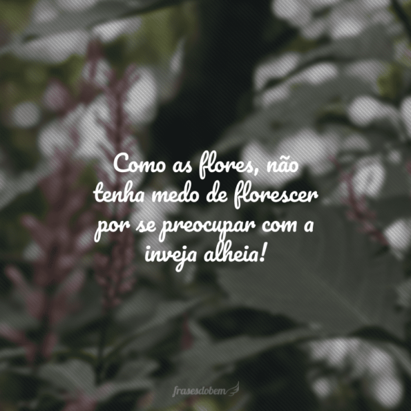 50 frases sobre florescer para acreditar que seu jardim vai desabrochar