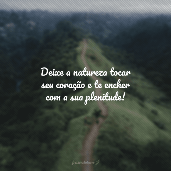 60 frases de natureza Tumblr para se encher da sua energia