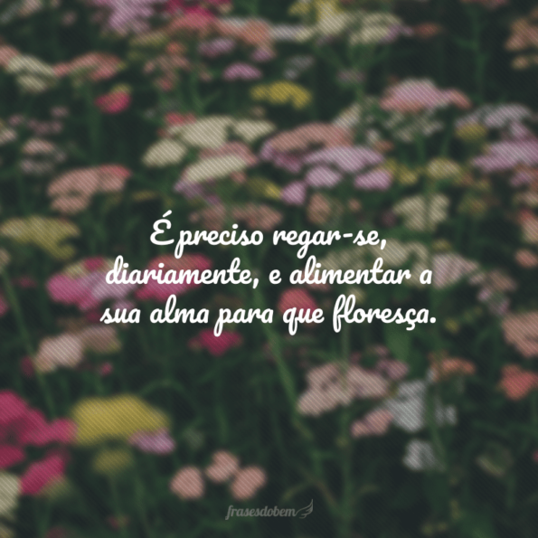 50 frases sobre florescer para acreditar que seu jardim vai desabrochar