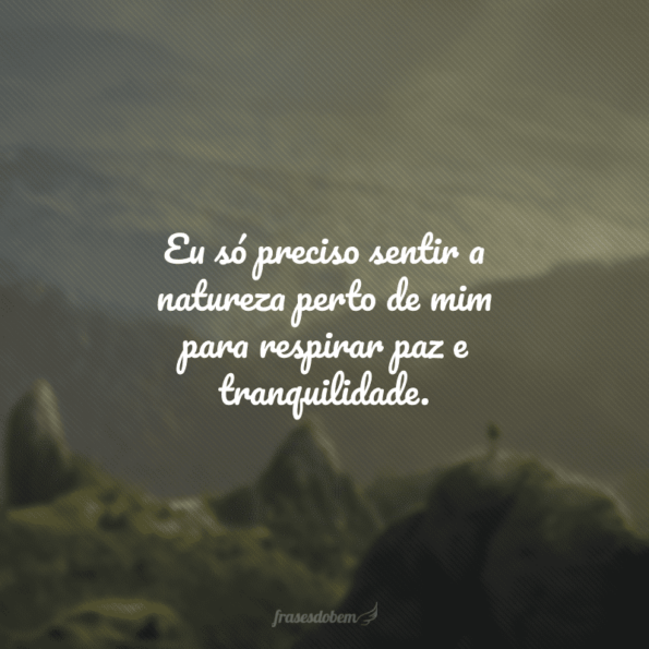 60 frases de natureza Tumblr para se encher da sua energia