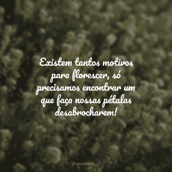 50 frases sobre florescer para acreditar que seu jardim vai desabrochar