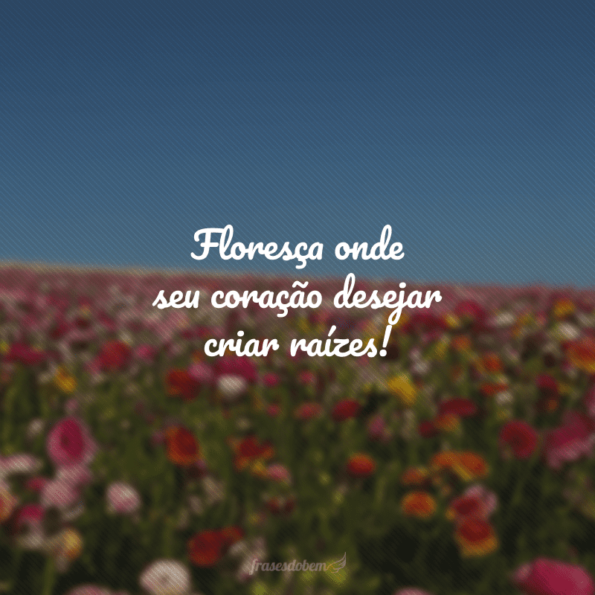 50 frases sobre florescer para acreditar que seu jardim vai desabrochar