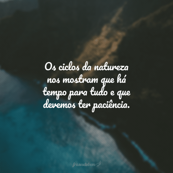 60 frases de natureza Tumblr para se encher da sua energia