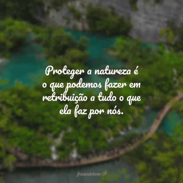 60 frases de natureza Tumblr para se encher da sua energia