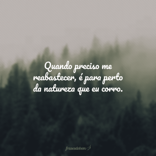 60 frases de natureza Tumblr para se encher da sua energia