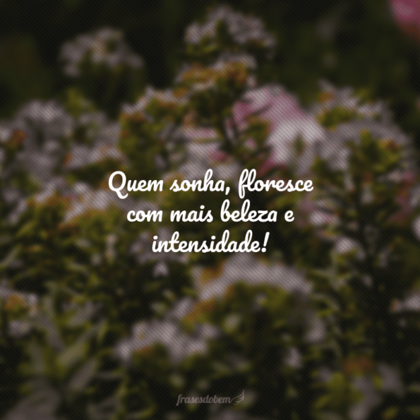 50 frases sobre florescer para acreditar que seu jardim vai desabrochar