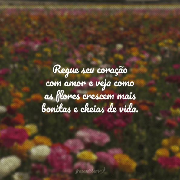 50 frases sobre florescer para acreditar que seu jardim vai desabrochar