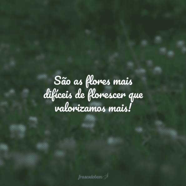 50 frases sobre florescer para acreditar que seu jardim vai desabrochar