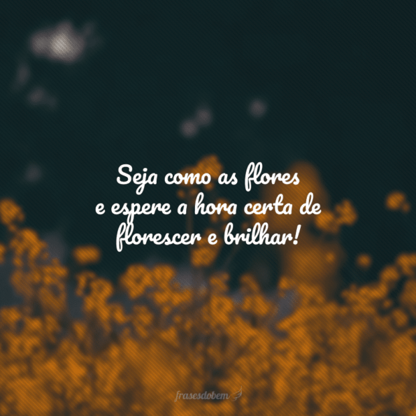 50 frases sobre florescer para acreditar que seu jardim vai desabrochar