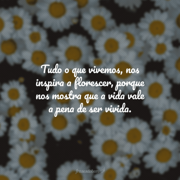 50 frases sobre florescer para acreditar que seu jardim vai desabrochar