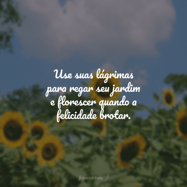 50 frases sobre florescer para acreditar que seu jardim vai desabrochar