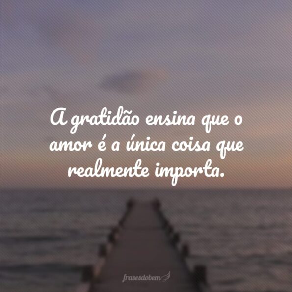 50 Frases Curtas De Gratidão Para Demonstrar A Nobreza Da Sua Alma