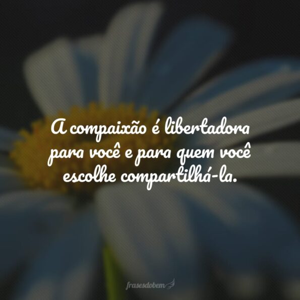 40 frases de compaixão para cultivar empatia no seu coração