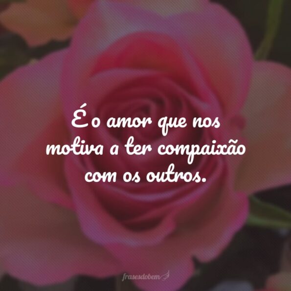 40 frases de compaixão para cultivar empatia no seu coração