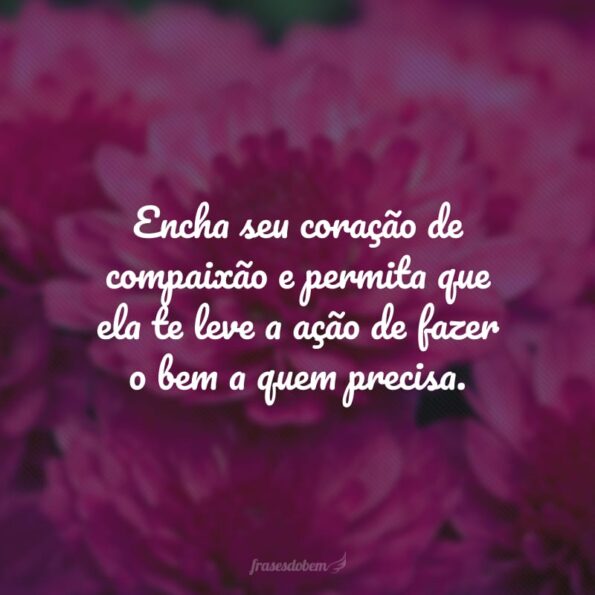 40 frases de compaixão para cultivar empatia no seu coração