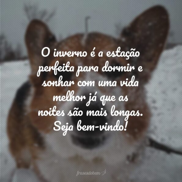 40 frases de bem-vindo, inverno, para quem ama um friozinho