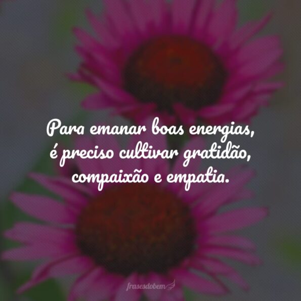 40 frases de compaixão para cultivar empatia no seu coração