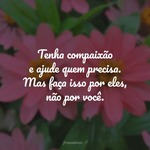 40 frases de compaixão para cultivar empatia no seu coração