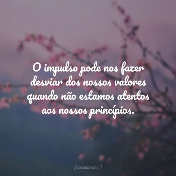 40 frases sobre valores para cultivá-los no seu dia a dia