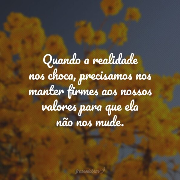 40 frases sobre valores para cultivá-los no seu dia a dia