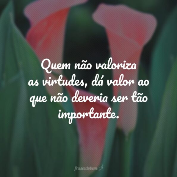 40 frases sobre valores para cultivá-los no seu dia a dia
